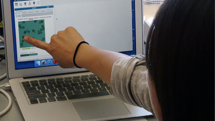 Collections | learn.concord.org