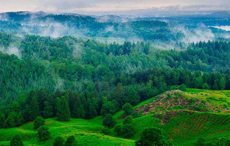 Collections | learn.concord.org