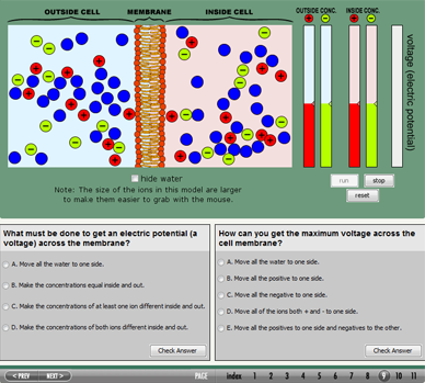 Diffusion And Active Transport