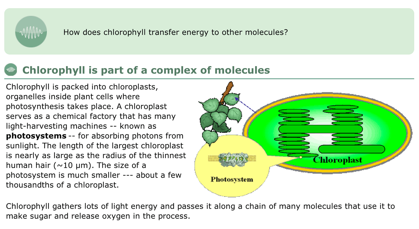 Photosynthesis | STEM Resource Finder